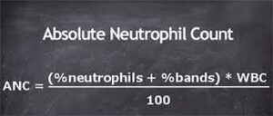 ANC Calculator: Calculate Absolute Neutrophil Count