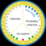 Period Due Date Calculator : Track Your Menstrual Cycle